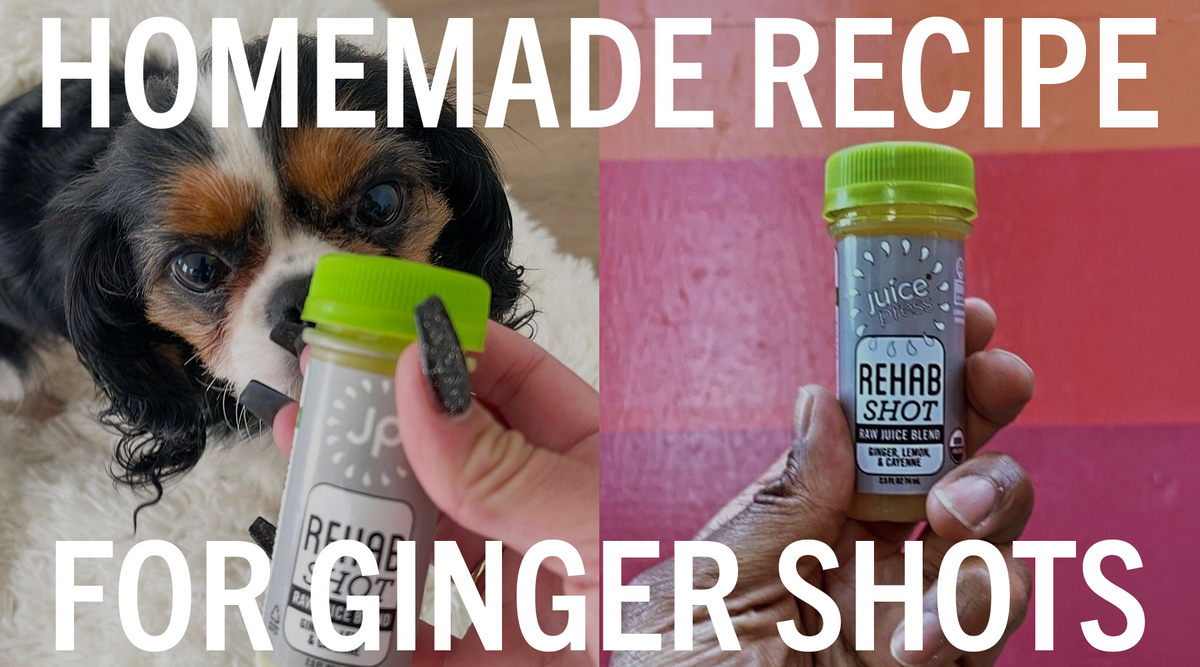 Ginger Shots Recipe - easy and homemade | Juice Press